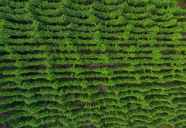 Vertical Agriculture WhatWhyHow Net Vertical Agriculture WhatWhyHow Net